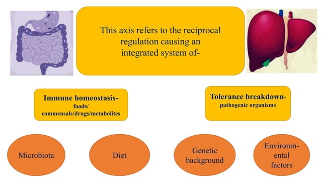 Pathophysiology of Hepatobiliary Menifestation of IBD.pptx
