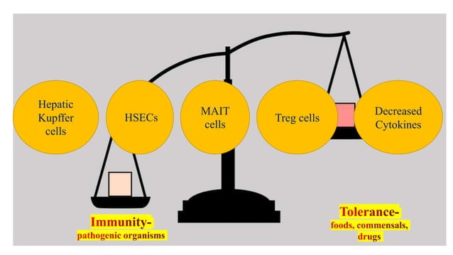 Pathophysiology of Hepatobiliary Menifestation of IBD.pptx