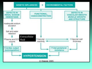 Pathophysiology of hypertension ,bloodpressure | PPTX