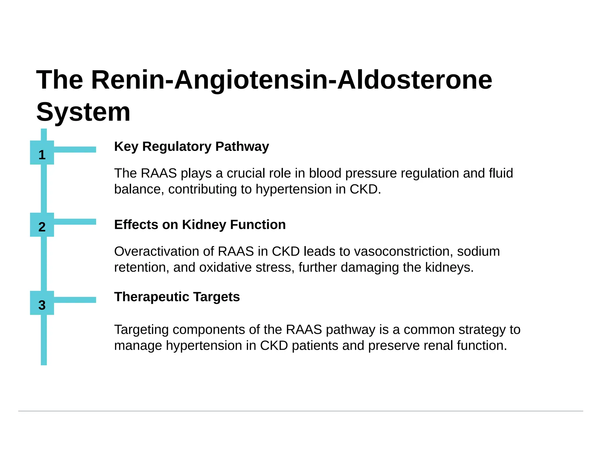 Pathophysiology of Hypertension in CKD.pptx | Heart and Cardiovascular ...