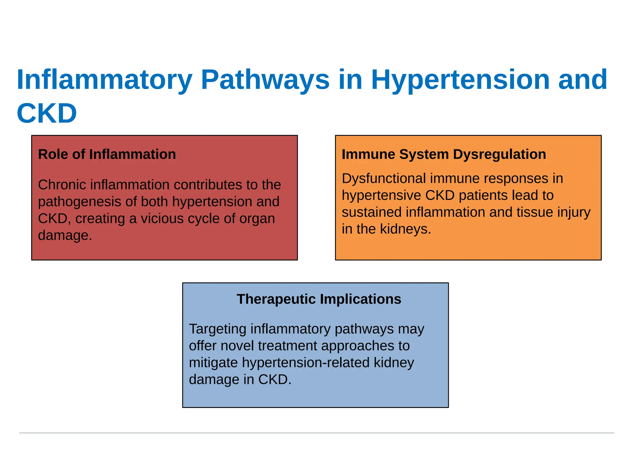 Pathophysiology of Hypertension in CKD.pptx | Heart and Cardiovascular ...