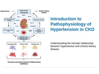 Pathophysiology of Hypertension in CKD.pptx