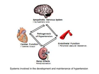 Pathophysiology of hypertention.pptx
