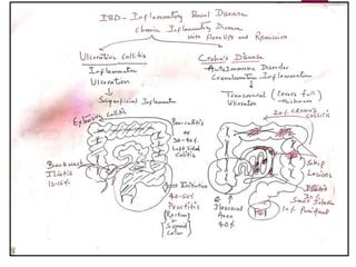 Pathophysiology of Inflammatory Bowel Disease (IBD) | PPTX