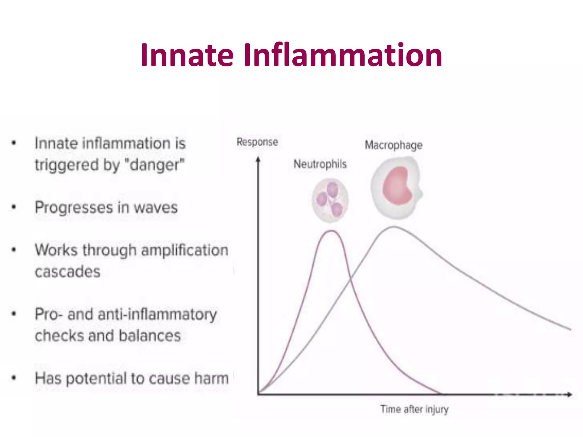 Pathophysiology of Inflammation.pptx