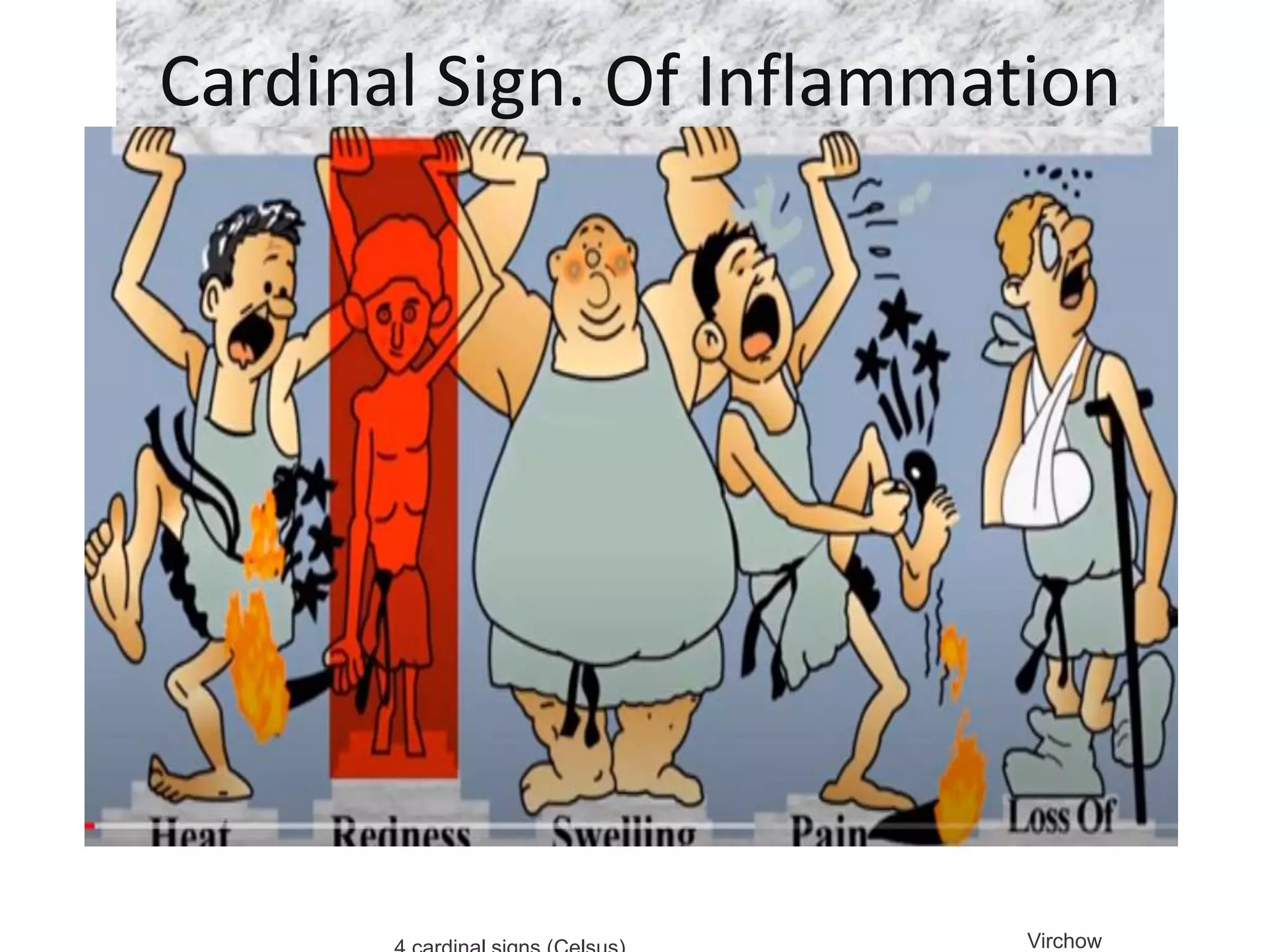 Pathophysiology of Inflammation.pptx