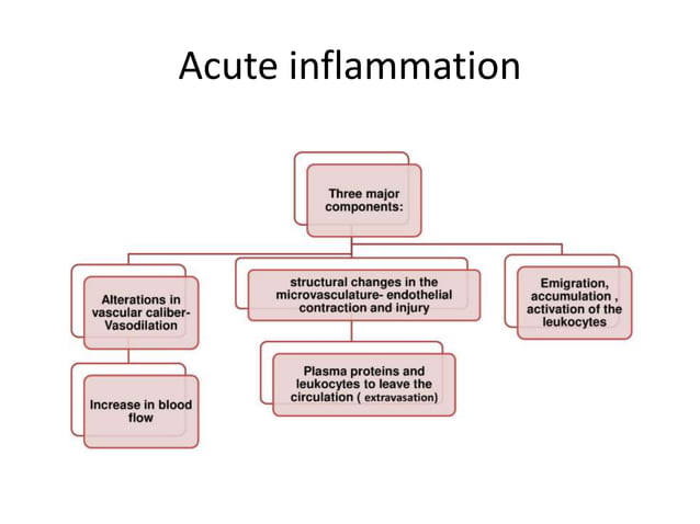 Pathophysiology of Inflammation.pptx