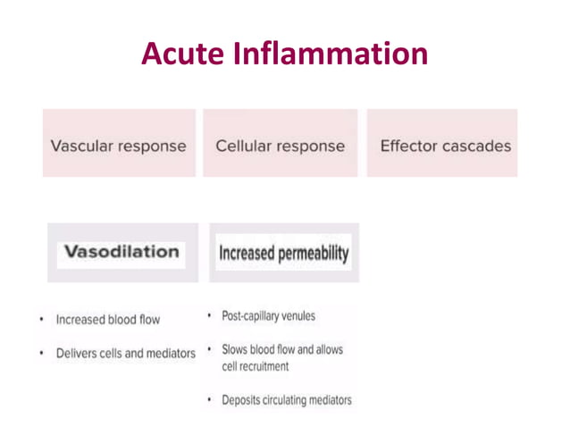 Pathophysiology of Inflammation.pptx
