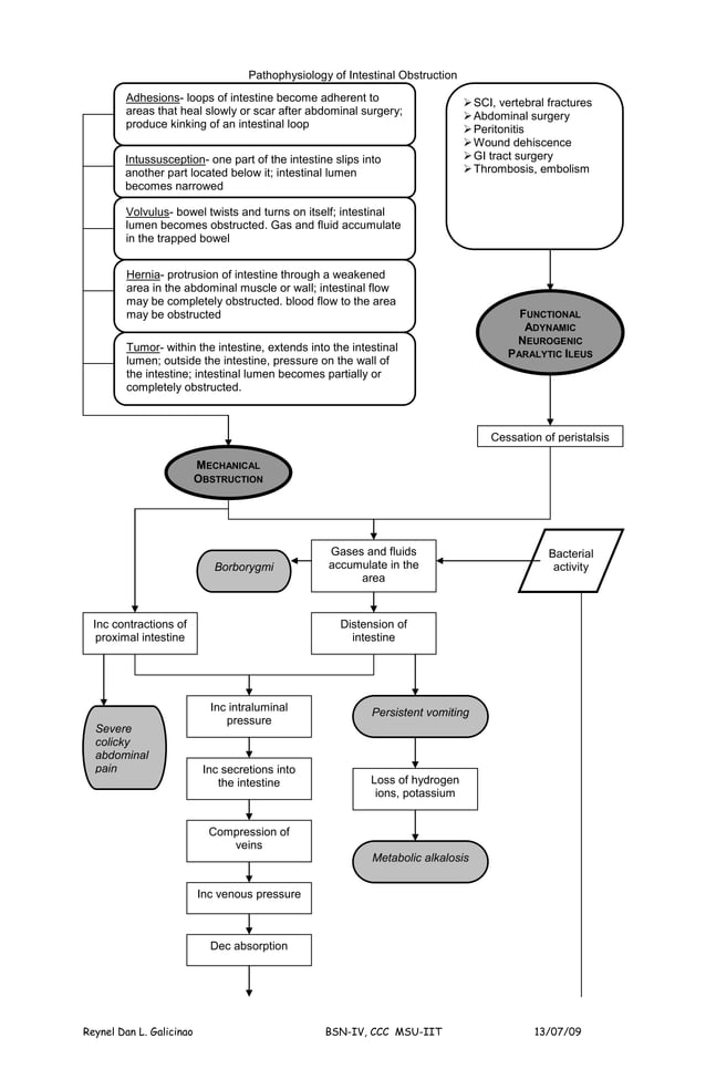 Pathophysiology of intestinal obstruction | PDF