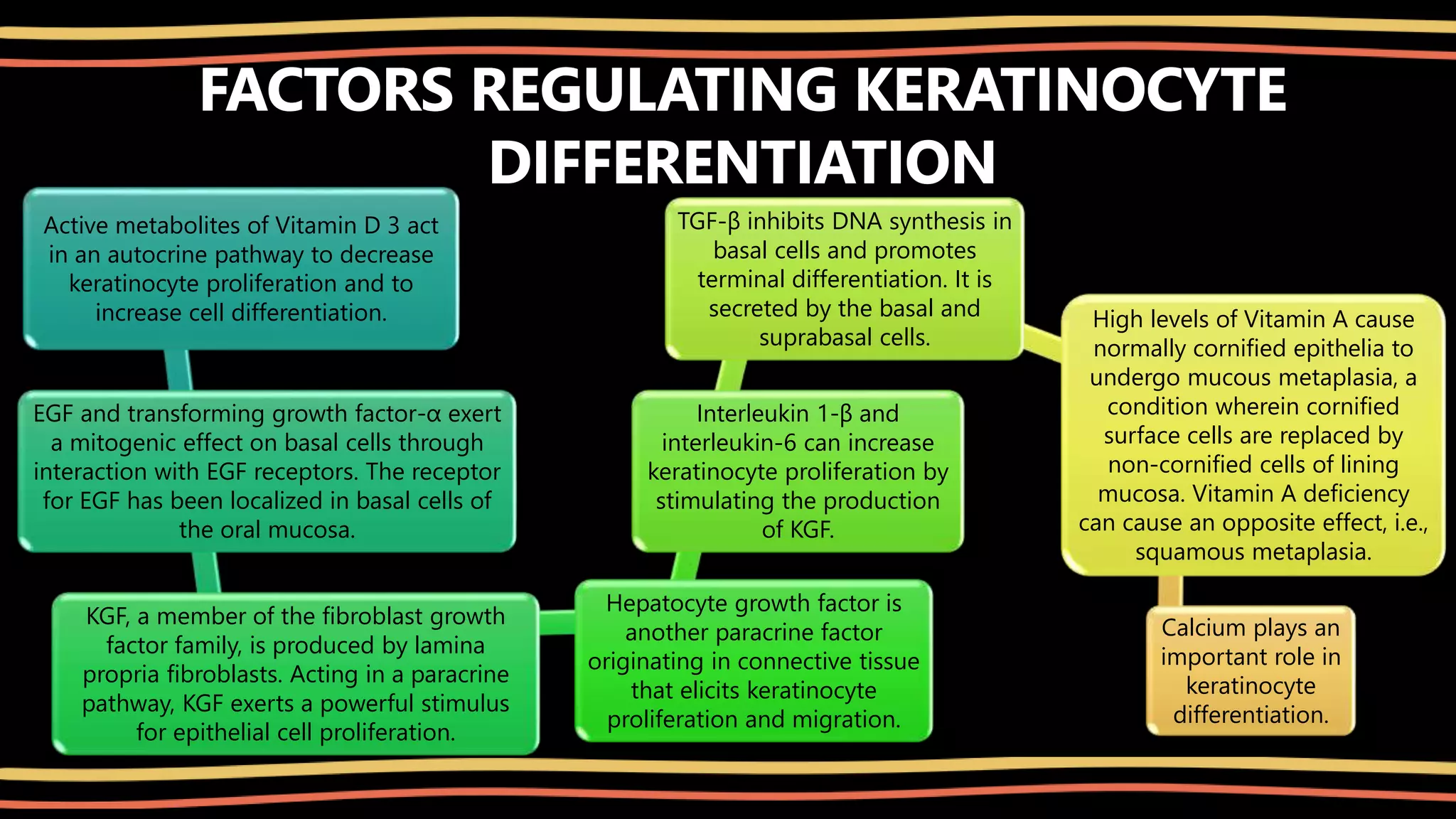 Pathophysiology of keratinization | PPTX