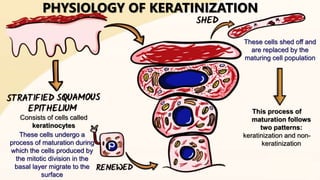 Pathophysiology of keratinization | PPT