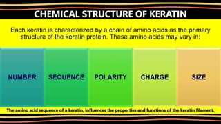 Pathophysiology of keratinization | PPT