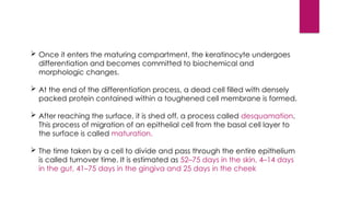 Pathophysiology of keratinization.pptx download | PPTX