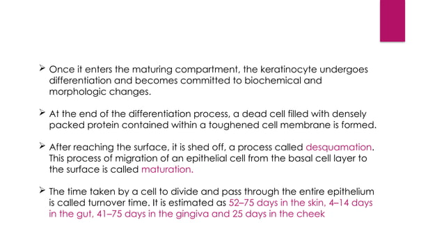 Pathophysiology of keratinization.pptx download | PPTX
