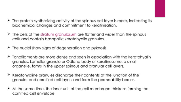 Pathophysiology of keratinization.pptx download | PPTX