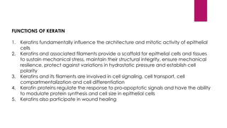 Pathophysiology of keratinization.pptx download | PPTX