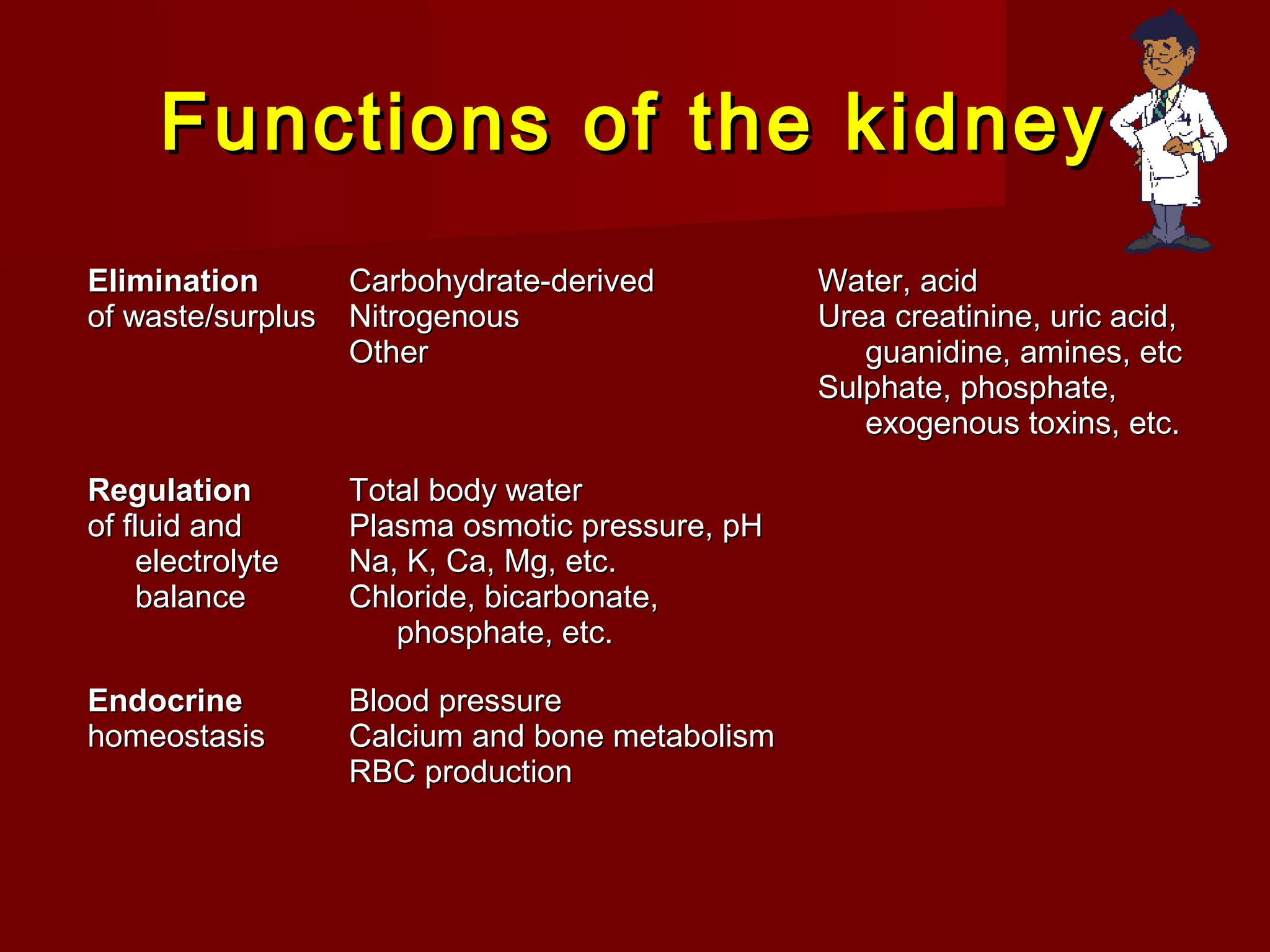 Pathophysiology of kidney.kidney insufficiency | PPT | Chemistry | Science