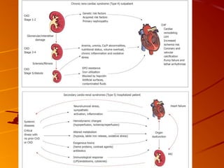 Pathophysiology of kidney.kidney insufficiency | PPT