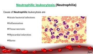 Pathophysiology of leukocytosis | PDF
