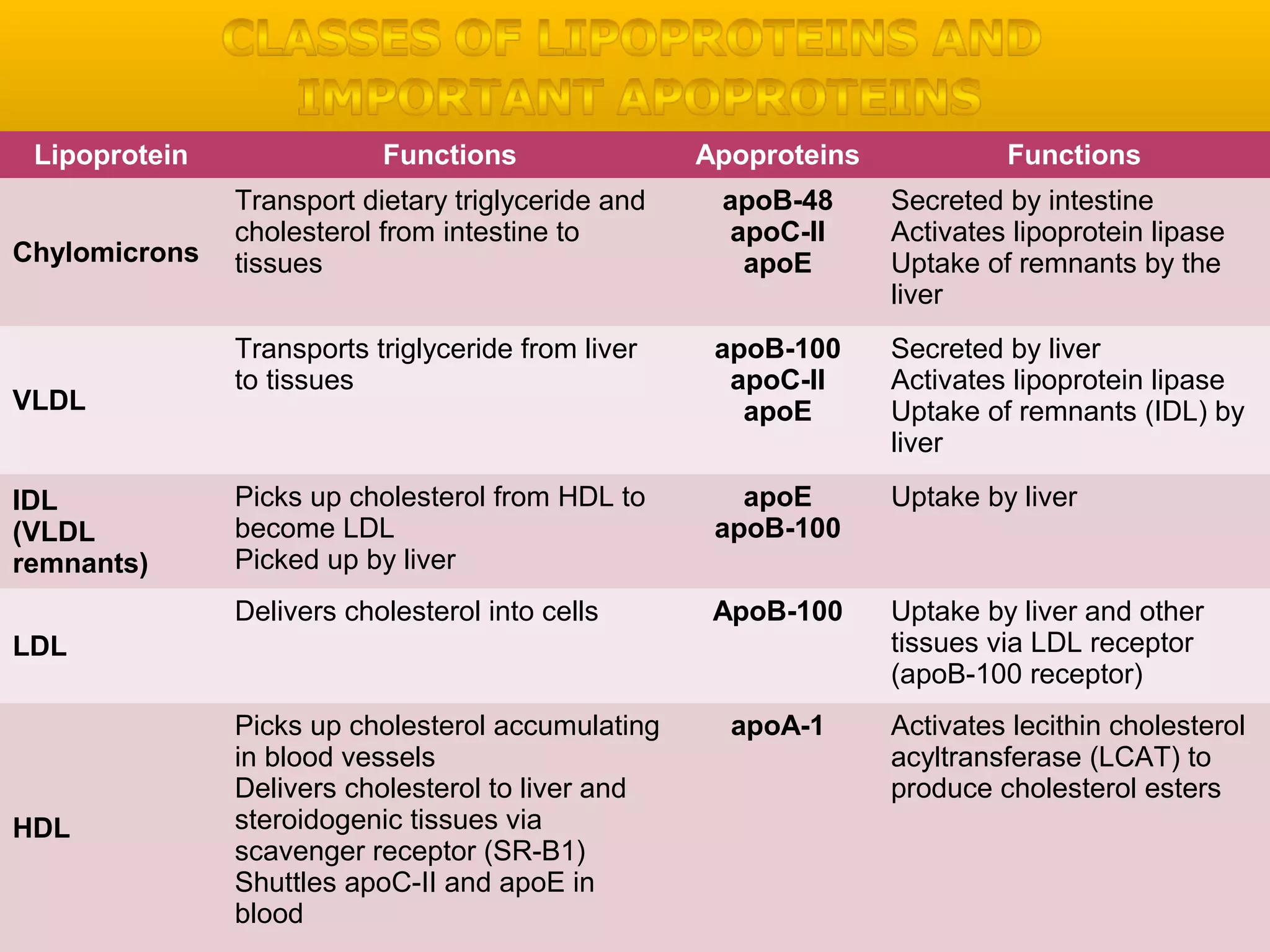 Pathophysiology of lipid metabolism | PPT