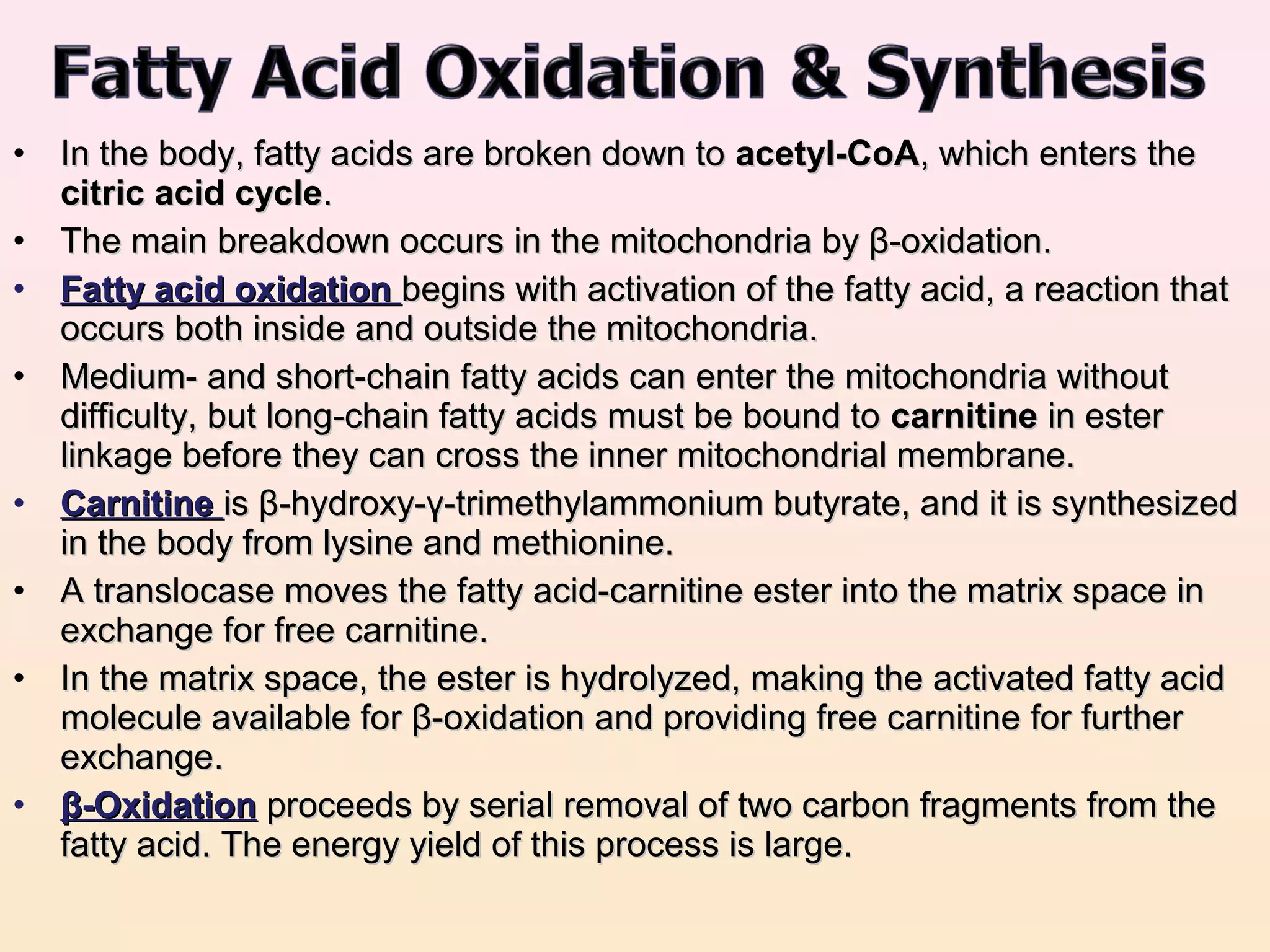 Pathophysiology of lipid metabolism | PPT