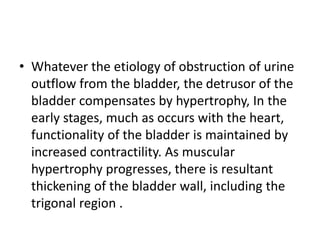 Pathophysiology of lower urinary tract obstruction.pptx
