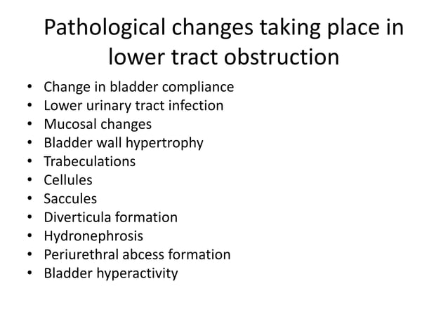 Pathophysiology of lower urinary tract obstruction.pptx