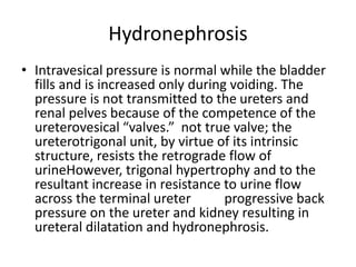 Pathophysiology of lower urinary tract obstruction.pptx