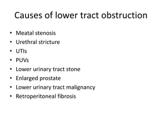 Pathophysiology of lower urinary tract obstruction.pptx