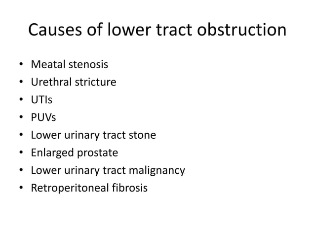 Pathophysiology of lower urinary tract obstruction.pptx
