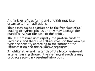 pathophysiology of meningitis nursing .pptx
