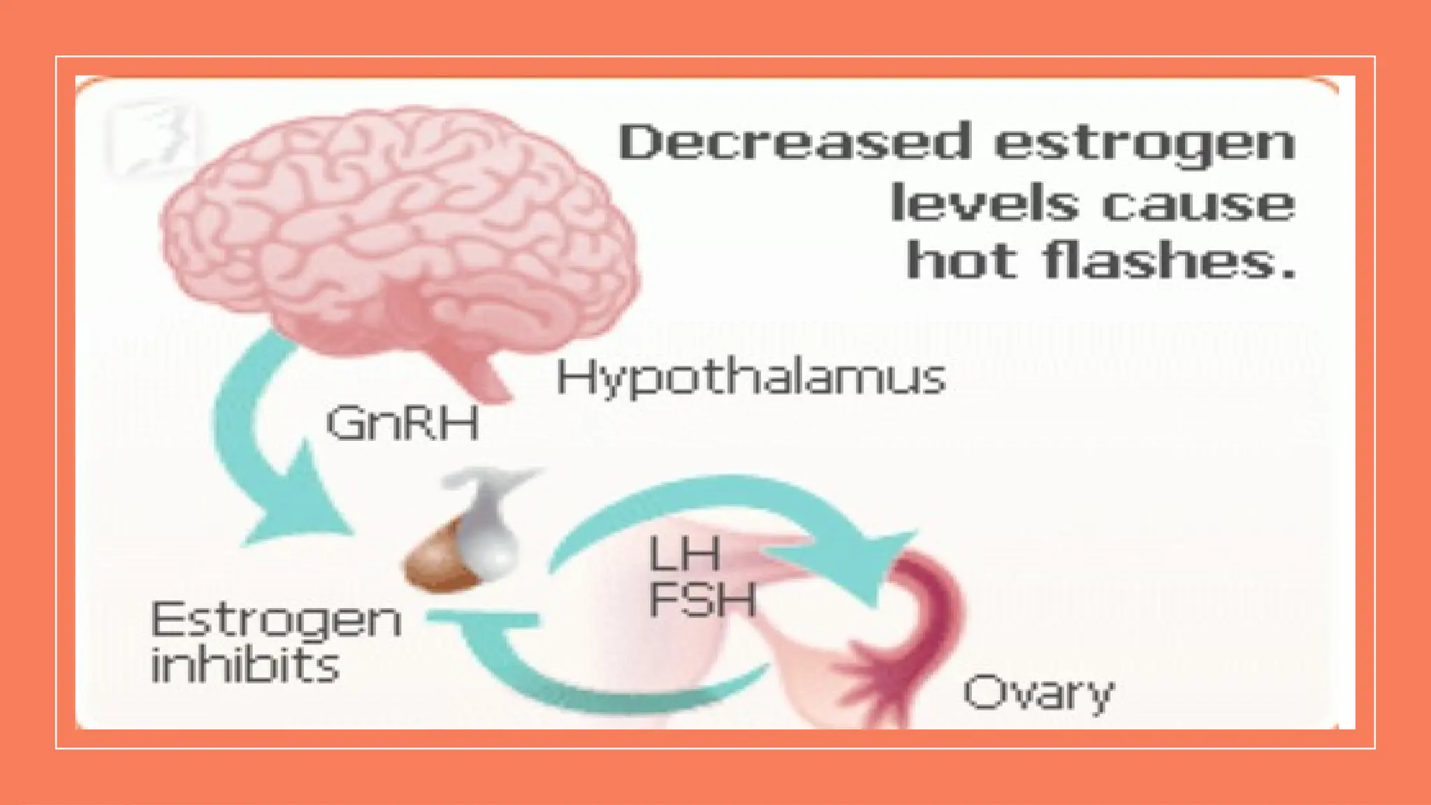 pathophysiology and symptoms of menopause.pptx