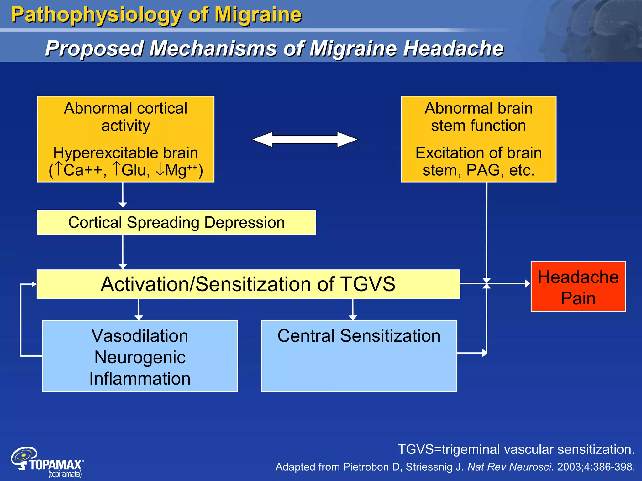 Pathophysiology of migraine | PPT