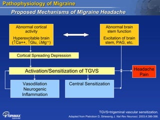 Pathophysiology of migraine | PPT