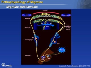 Pathophysiology of migraine | PPT