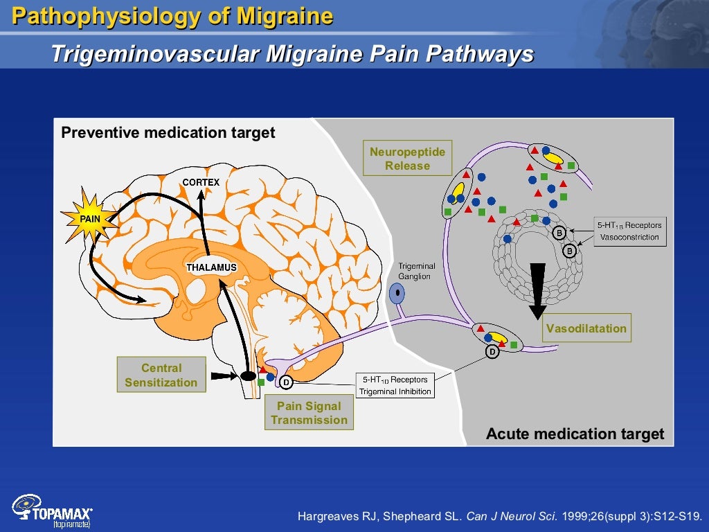 Pathophysiology of migraine