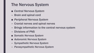 Pathophysiology of Nervous System.pptx. . | PPTX