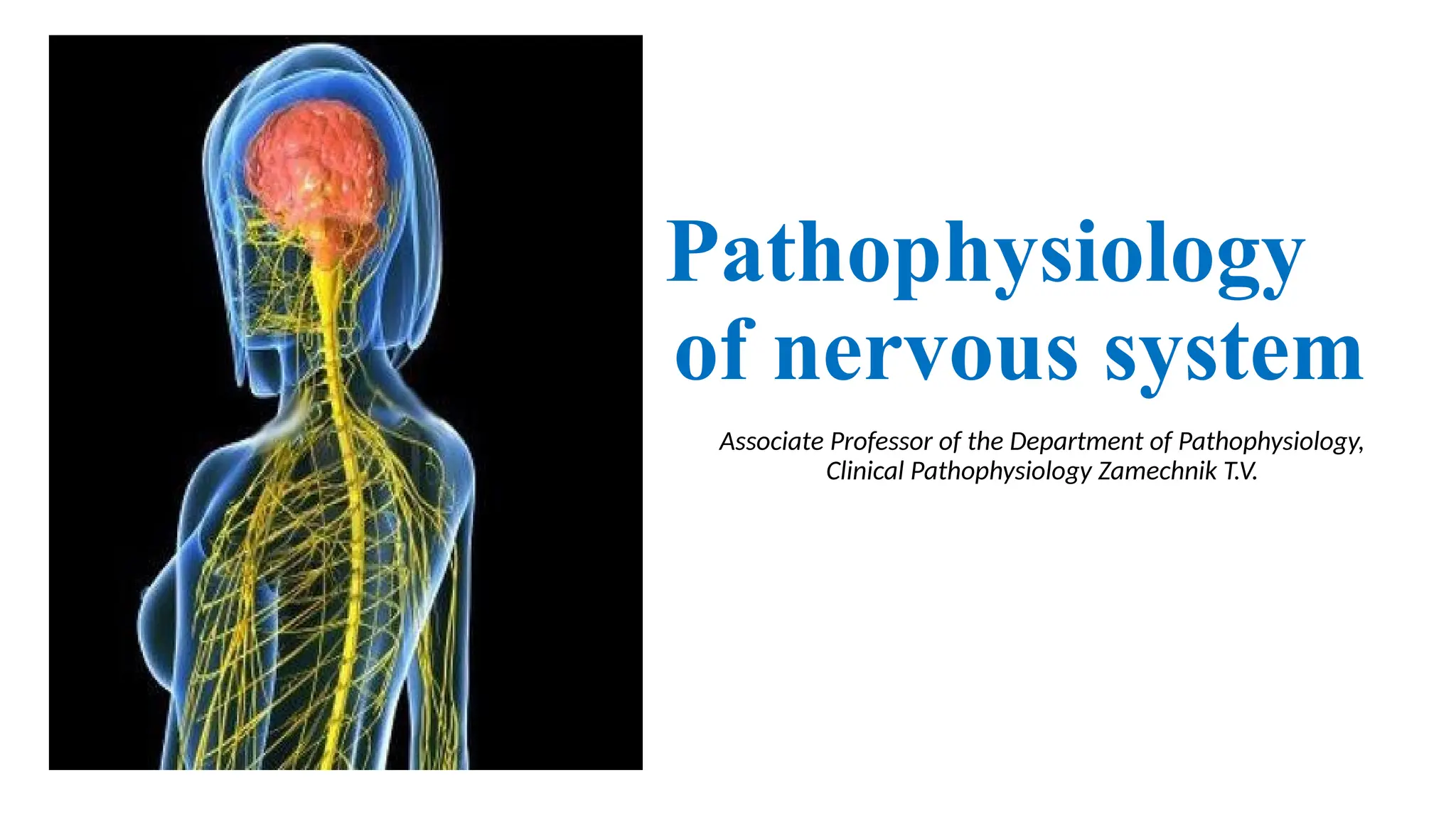 Pathophysiology of nervous system full presentation | PPT