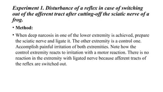 Pathophysiology of nervous system full presentation | PPT