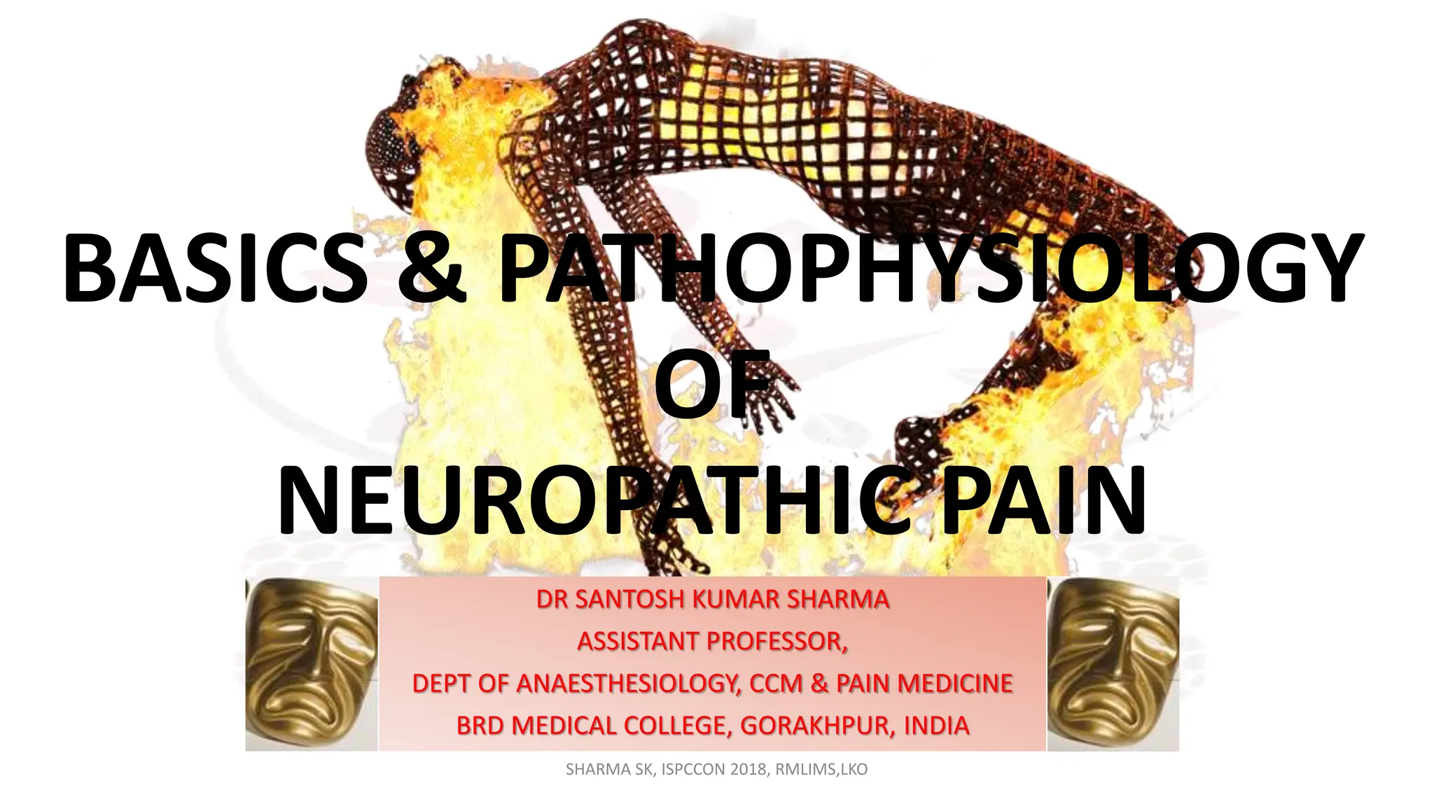 PATHOPHYSIOLOGY OF NEUROPATHIC PAIN LUCKNOW6-11-18.pptx