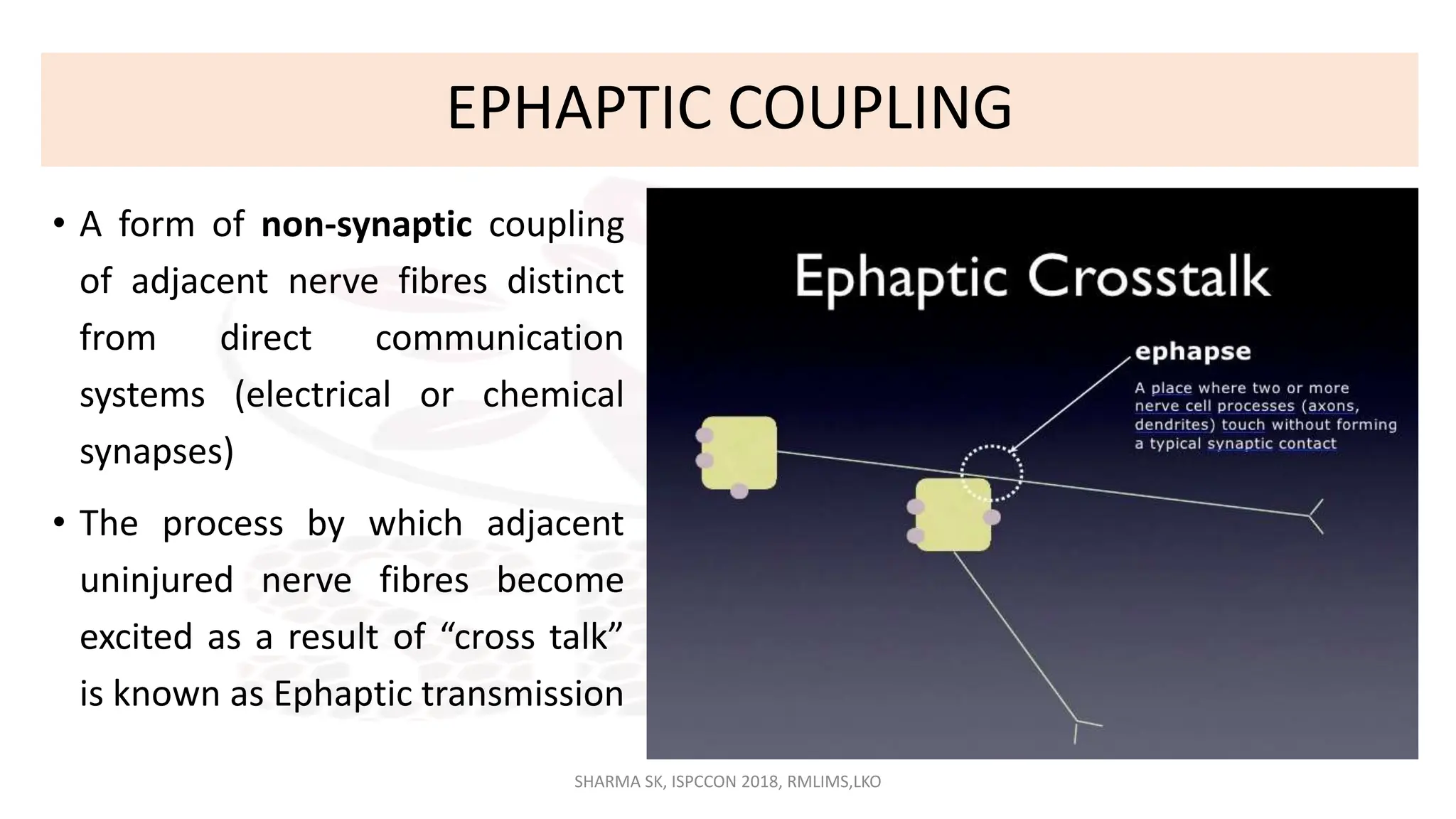 PATHOPHYSIOLOGY OF NEUROPATHIC PAIN LUCKNOW6-11-18.pptx
