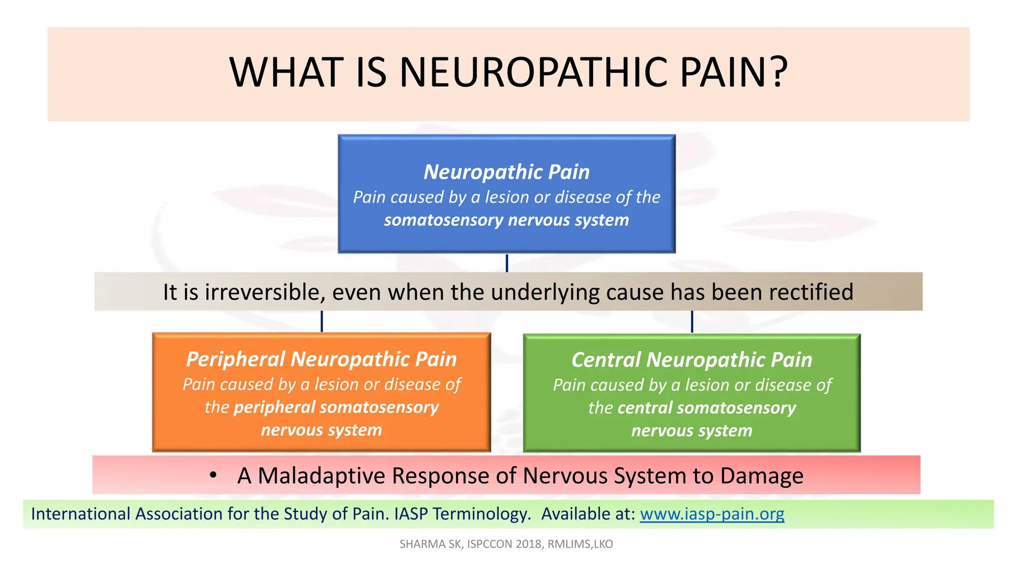 PATHOPHYSIOLOGY OF NEUROPATHIC PAIN LUCKNOW6-11-18.pptx