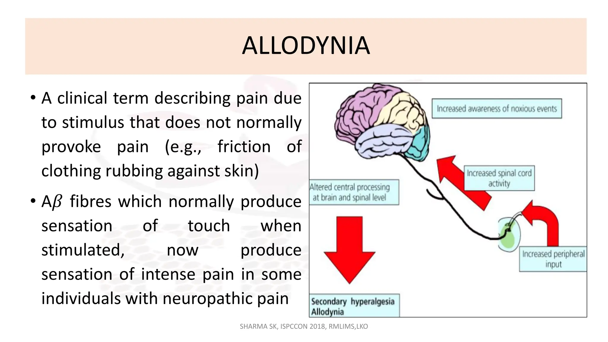 PATHOPHYSIOLOGY OF NEUROPATHIC PAIN LUCKNOW6-11-18.pptx