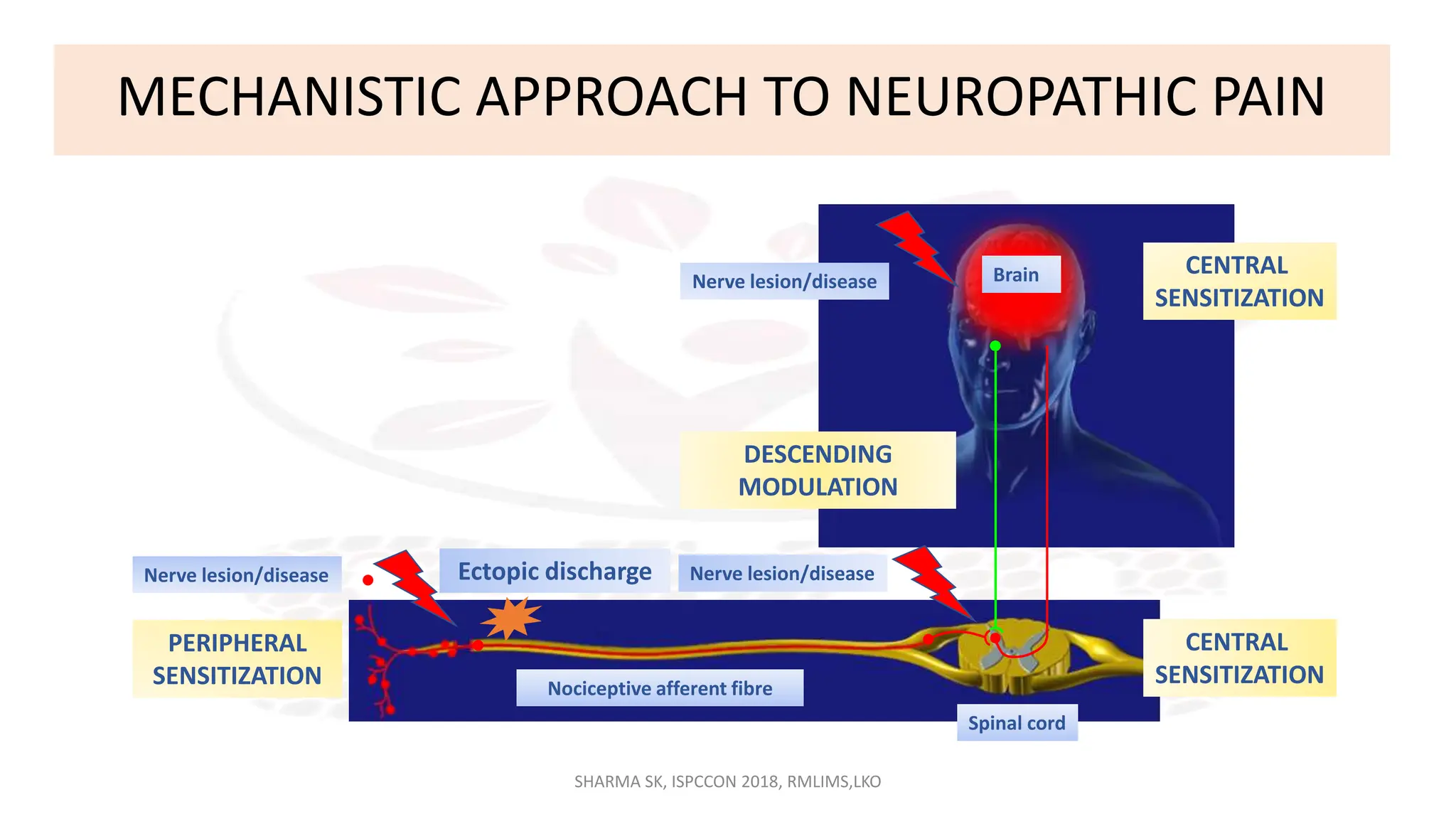 PATHOPHYSIOLOGY OF NEUROPATHIC PAIN LUCKNOW6-11-18.pptx
