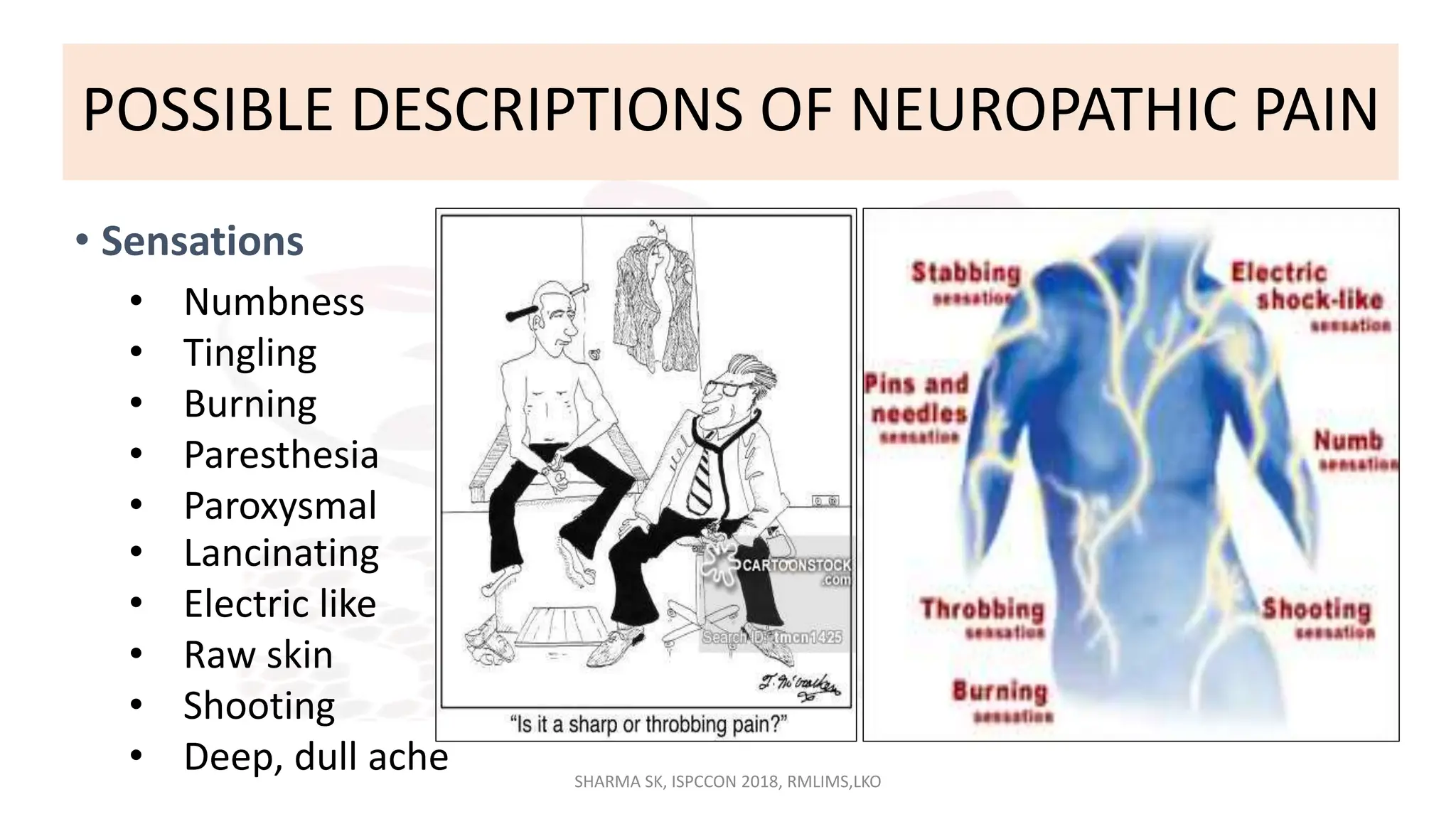 PATHOPHYSIOLOGY OF NEUROPATHIC PAIN LUCKNOW6-11-18.pptx