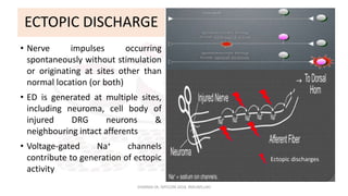 PATHOPHYSIOLOGY OF NEUROPATHIC PAIN LUCKNOW6-11-18.pptx
