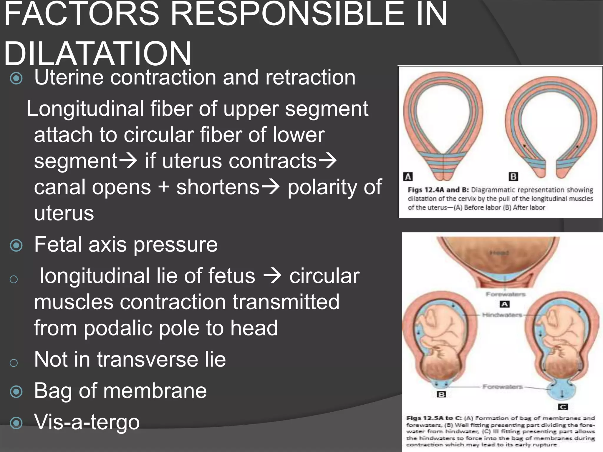 Pathophysiology of Normal Labour by Sunil Kumar Daha | PPTX