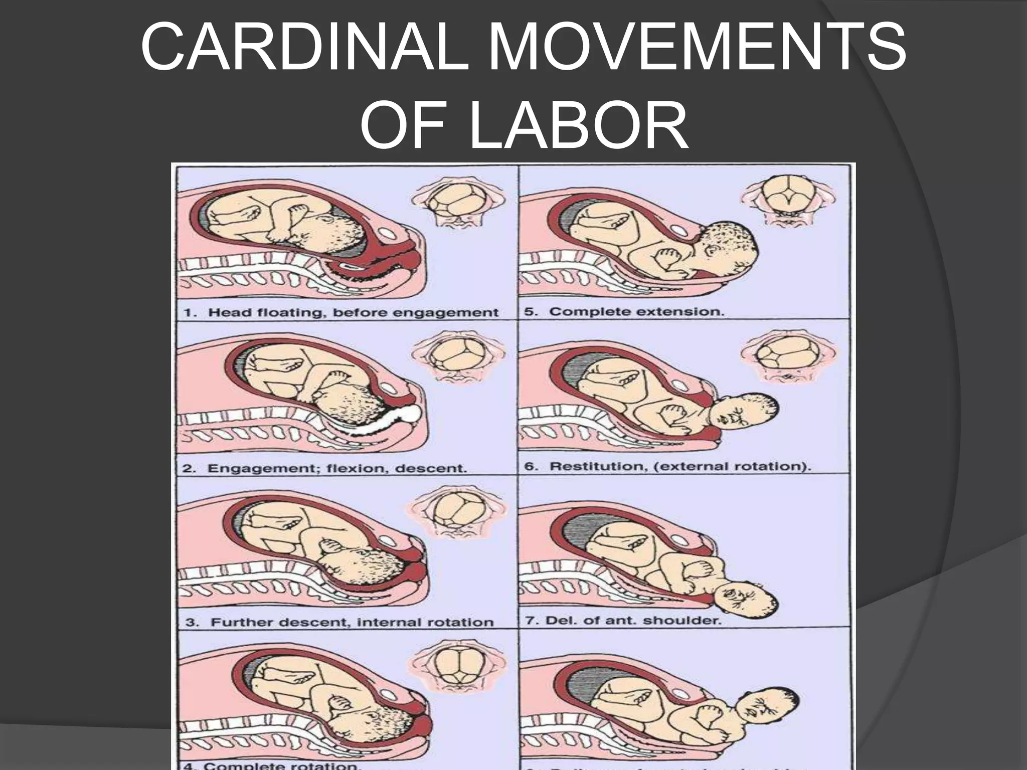 Pathophysiology of Normal Labour by Sunil Kumar Daha | PPTX
