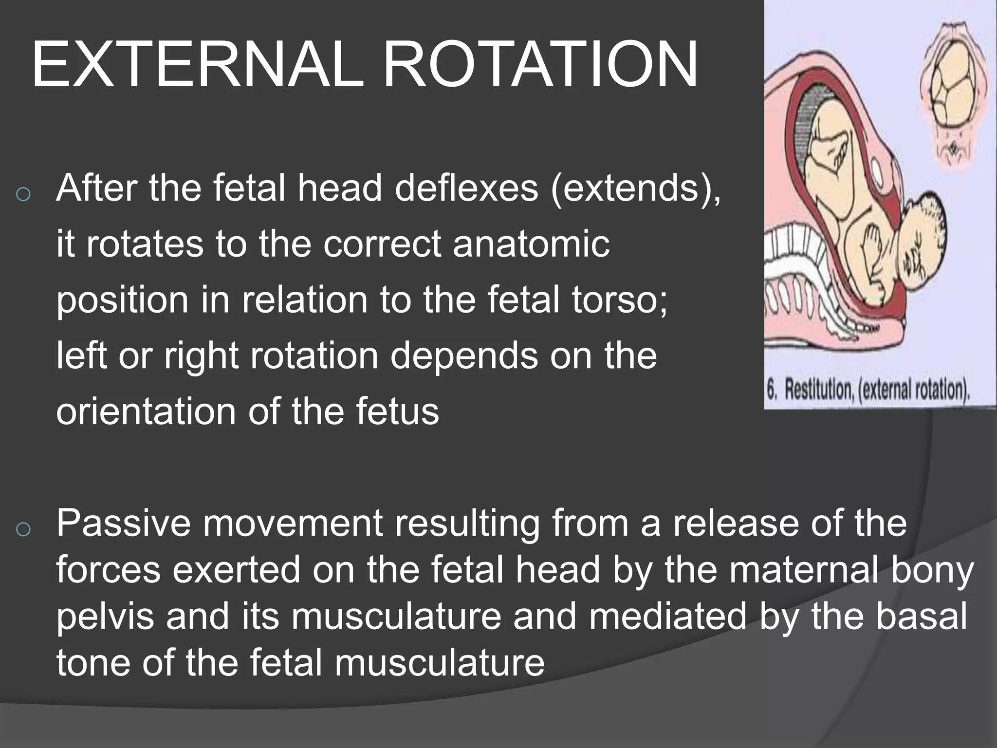 Pathophysiology of Normal Labour by Sunil Kumar Daha | PPTX