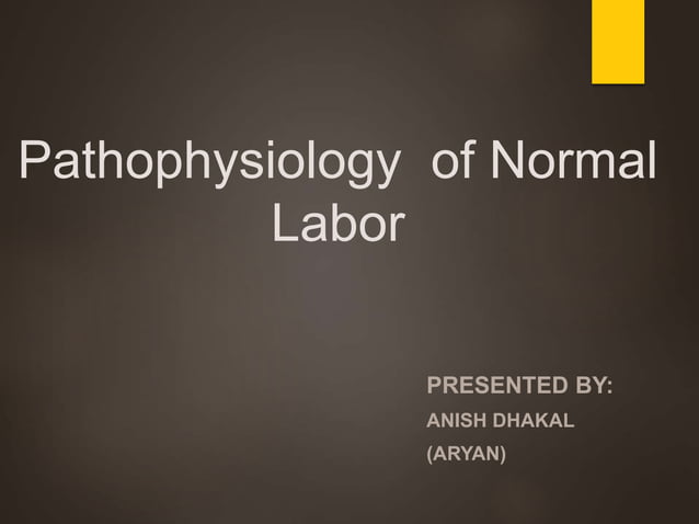 Normal Labor in Obstetrics | PPTX | Pregnancy | Reproductive Health